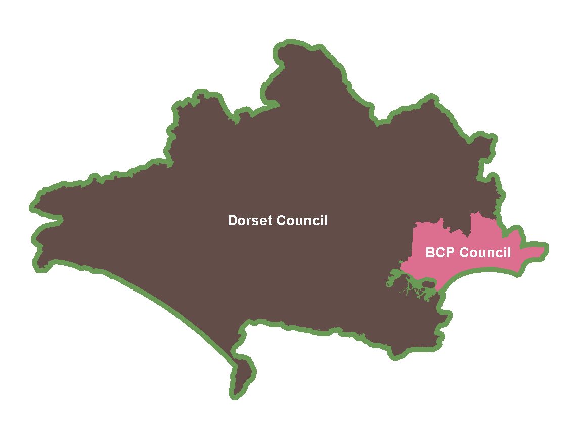 About the local nature recovery strategy and who it's for - Dorset Council
